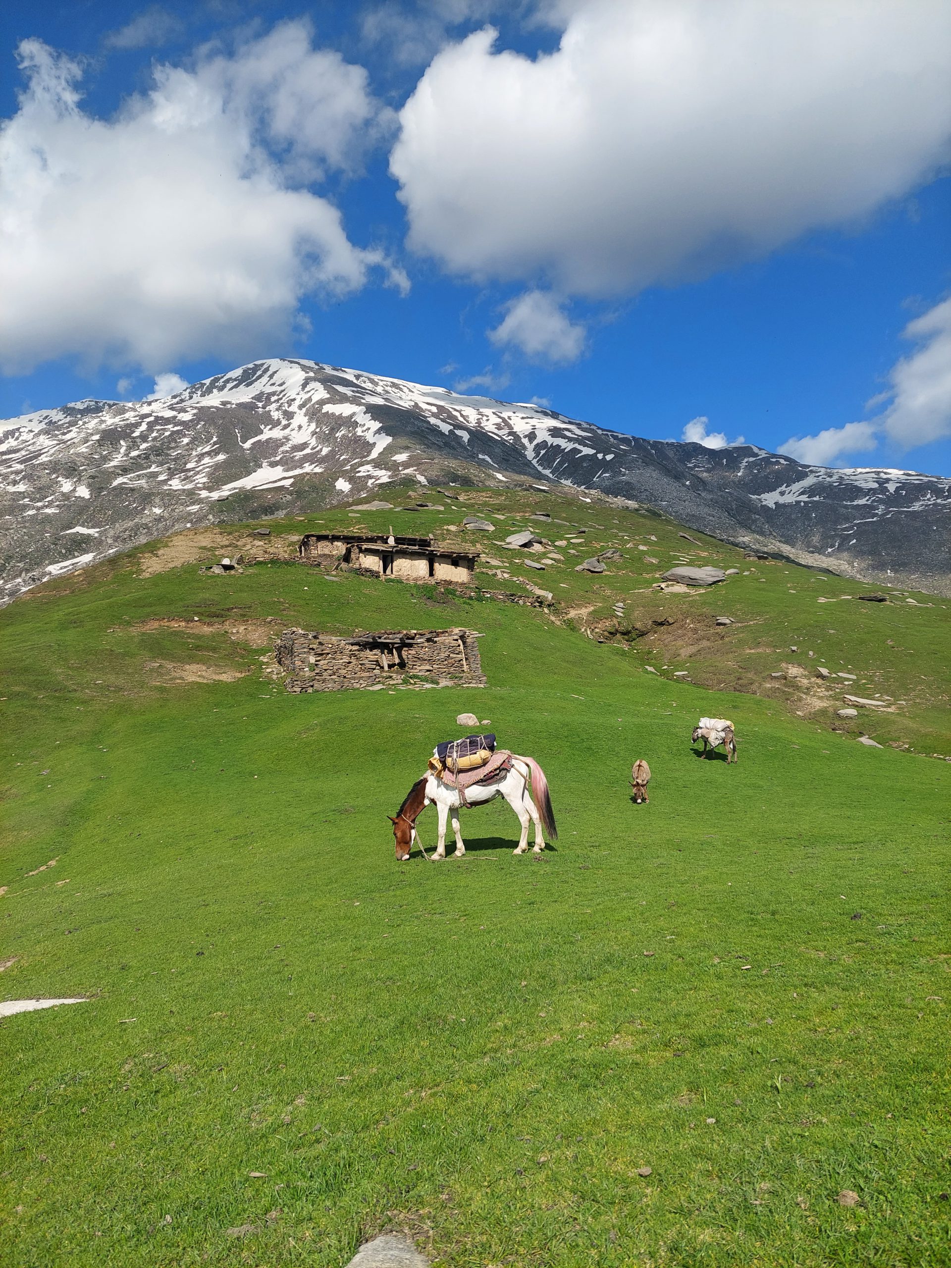 Musa Ka Musalla (4080m) - Trekking - TourRangers